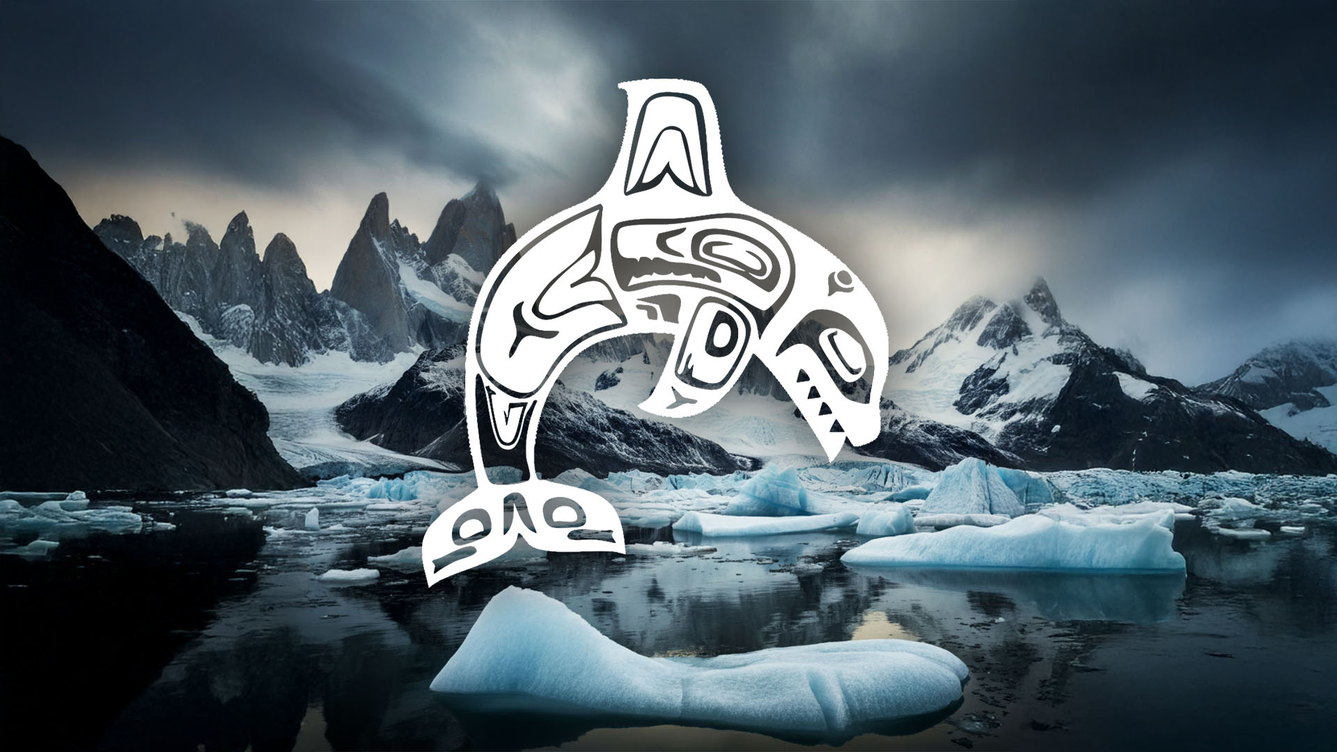 Home - Black Fin Distillery